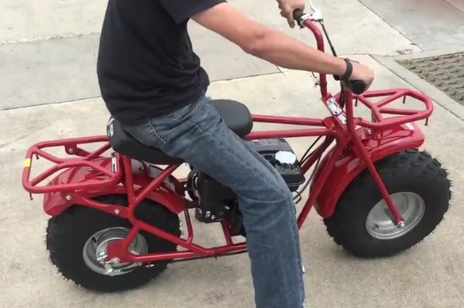 Offroad Old School Mini Bike Trail 200cc 6.5 HP With Monster Oversized ...